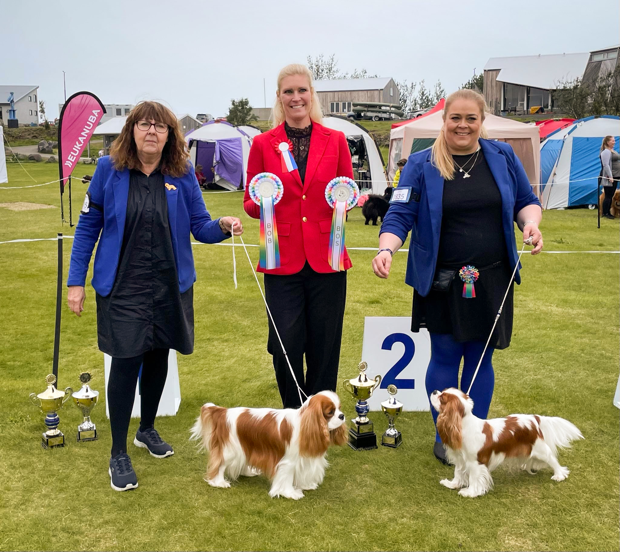 Alþjóðleg sýning 11. ágúst 2024 | Cavalierdeild HRFÍ